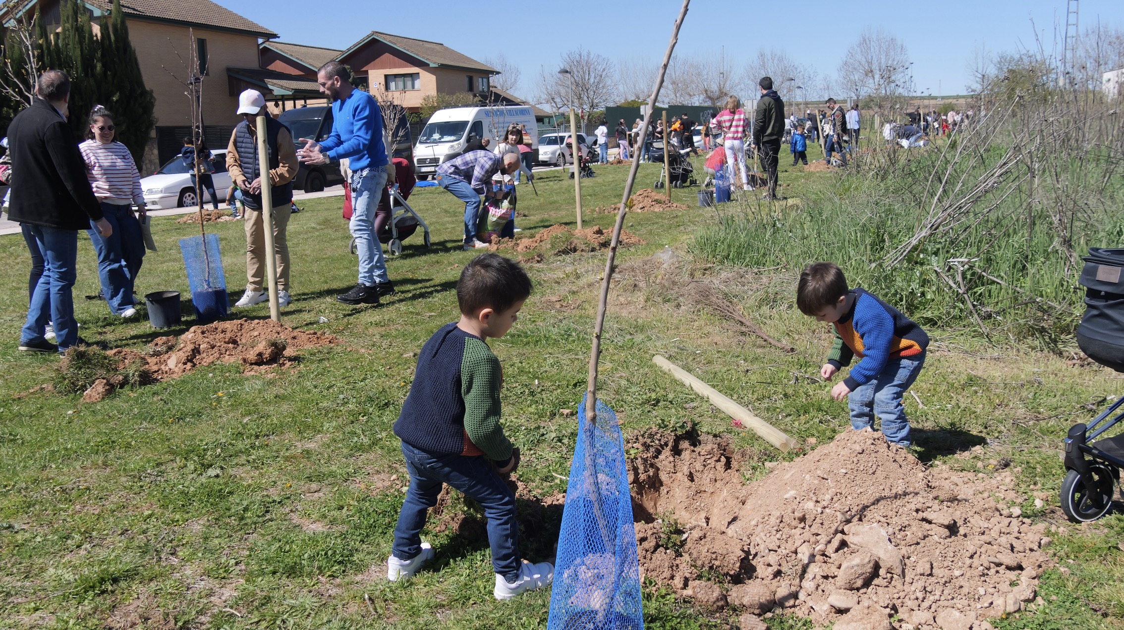 Un Árbol, un Niñ@: Alovera Celebra la Sostenibilidad y la Natalidad con ...
